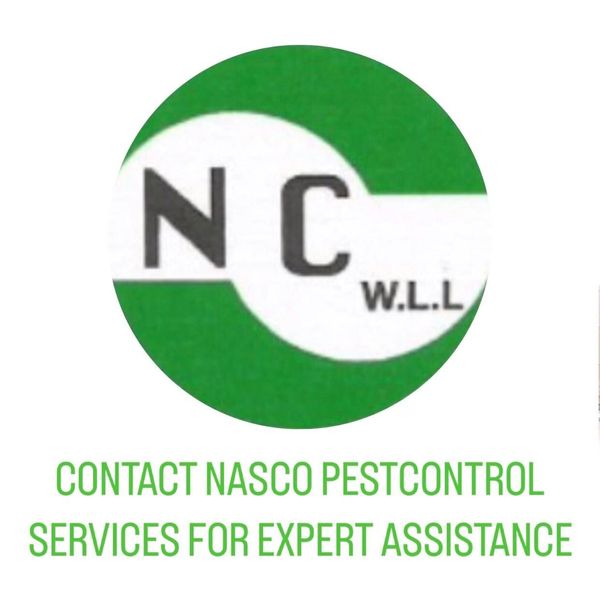 Expert Pest Control Service in Your Area